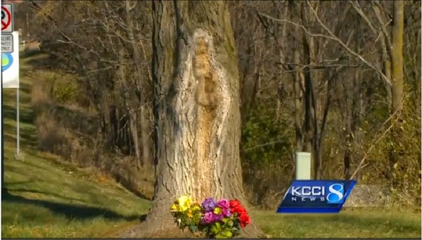 The Badger Catholic: Image of Virgin Mary grows on tree in Iowa